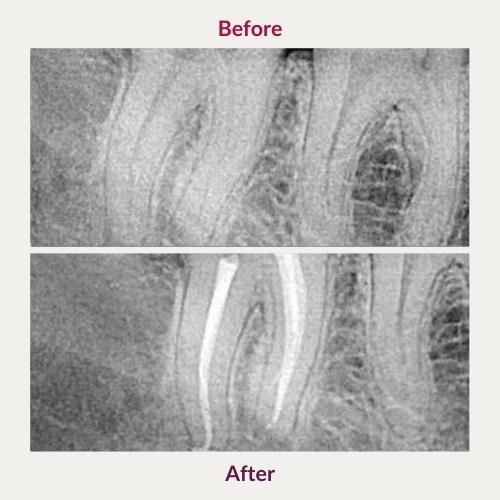 Our Gallery – Emil Blank, DDS